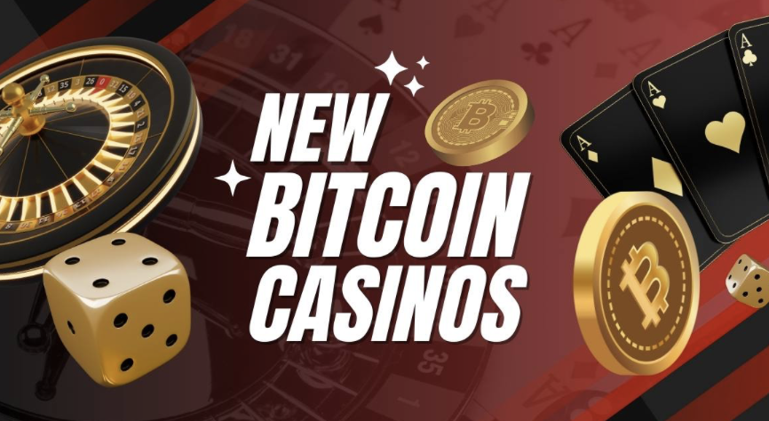 New Bitcoin Casinos 2025 10 Newest Crypto Casino Sites Crypto Daily New Bitcoin Casinos 2025 10 Newest Crypto Casino Sites Crypto Daily